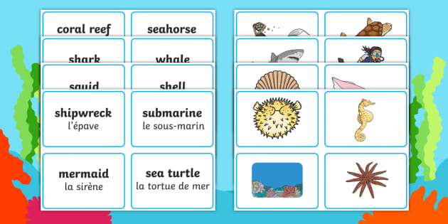 Under the Sea Matching Cards - French/English (teacher made)