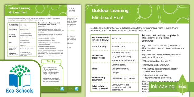 FREE! - Eco-Schools Outdoor Learning Minibeast Hunt