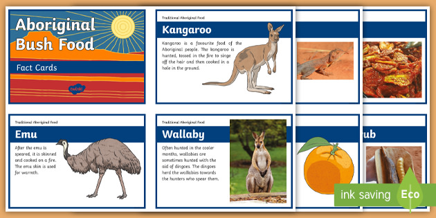 Aboriginal Food Facts for Kids | Fact Cards | Year 3-4