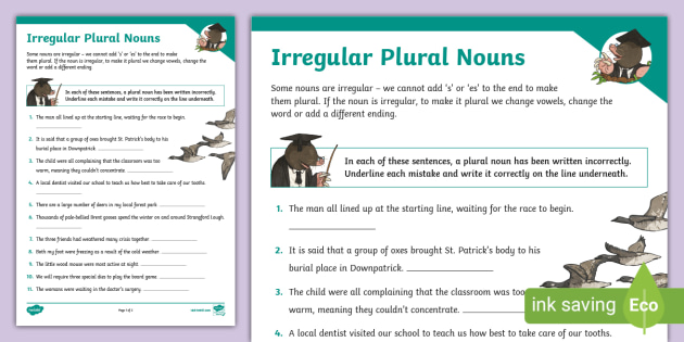 Irregular Plural Nouns The Plural Of Nouns Worksheet
