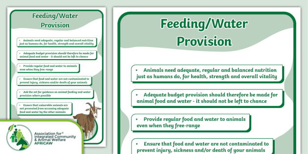 FREE! - Food And Water Provision Poster - Caring For Livestock