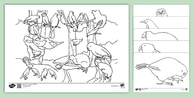 Birds Pictures For Coloring