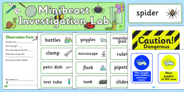 Minibeasts Investigation Lab Role Play Pack (teacher made)