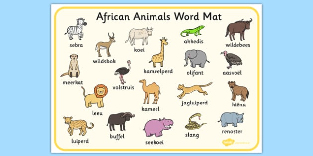 Afrikaans Suid-Afrikaanse Diere Woordmat - Suid-Afrika, diere