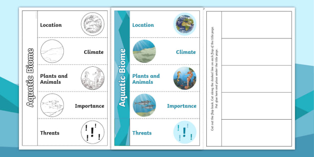 Aquatic Biome Flap Book | World Oceans Day | Twinkl USA