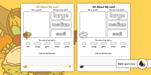 All About My Leaf Activity - Twinkl