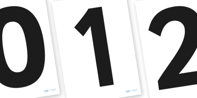 👉 Judging Paddle Card Props (teacher made)