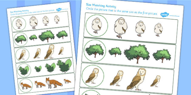 Owl Size Matching Worksheet