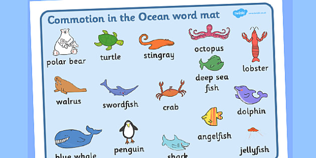 FREE! - Word Mat (Images) to Support Teaching on Commotion In The Ocean