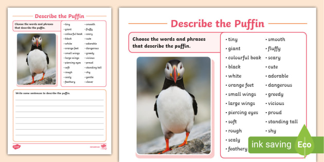 * NEW * Describe the Puffin Writing Activity (teacher made)