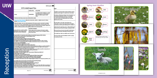 EYFS Spring Walk Adult Input Plan and Resource Pack
