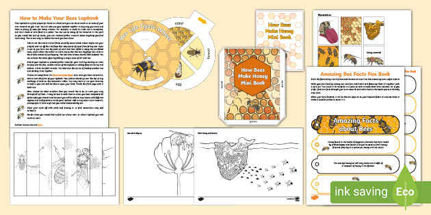 FREE! - Bees Lapbook (teacher made)