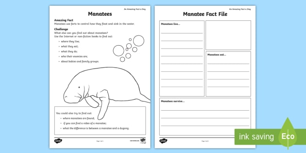 Manatees Fact File Worksheet / Worksheet (teacher made)