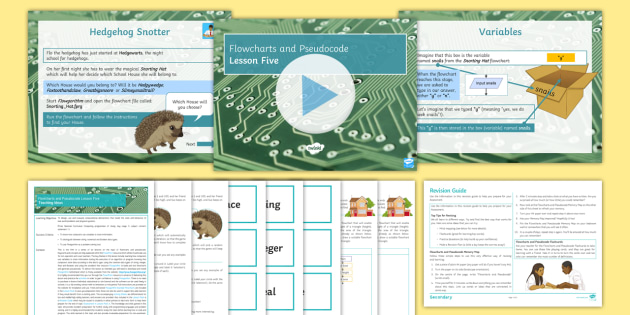 Flowcharts and Pseudocode: Lesson 5 (teacher made) Flowcharts and Pseudocode: Lesson 5 (teacher made)