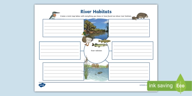 River Habitats Mind Map (teacher made)