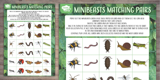 Matching Pairs Games | twinkl.com.au