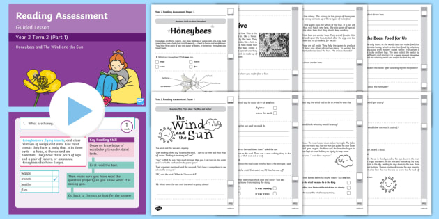 Year 2 Term 2 Paper 1 Reading Assessment Bumper Resource Pack