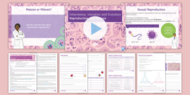 Free Aqa Inheritance Variation And Evolution Lesson 1 Reproduction And
