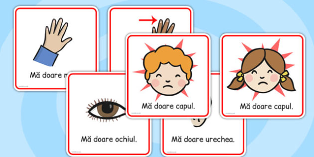 Partile Corpului (teacher made)