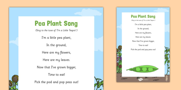 Pea Plants Song