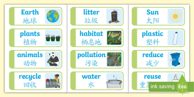 FREE! - KS1 Earth Day Word Cards - English/Mandarin Chinese