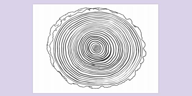 FREE! - Cross Section of Tree Trunk Colouring Sheet | Colouring Sheets