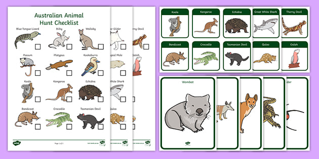 Australian Animals Scavenger Hunt (teacher made)