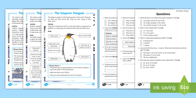 Emperor Penguin Life Cycle Reading Comprehension Activity