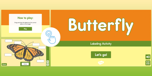 Butterfly Interactive Labeling Activity (teacher made)