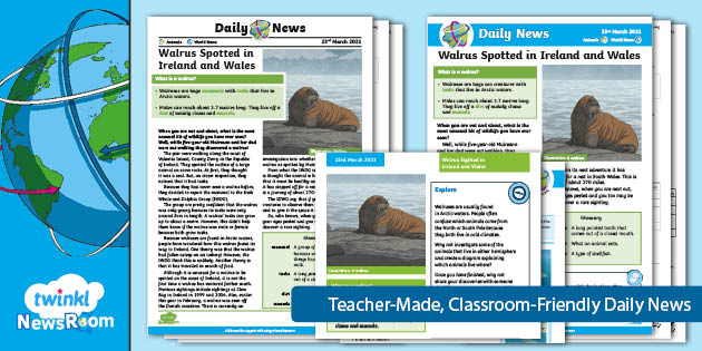 Walrus Reading Comprehension | Twinkl NewsRoom Resources