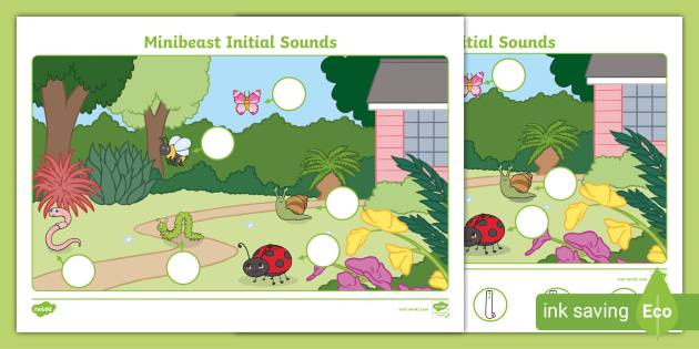Minibeasts Writing Initial Sounds Activity (teacher made)