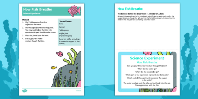 EYFS How Fish Breathe Science Experiment and Prompt Card Pack