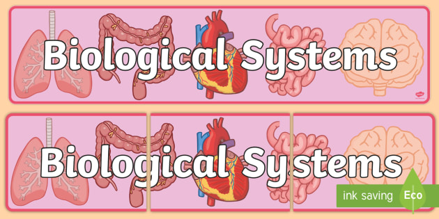 Biological Systems Display Banner CfE