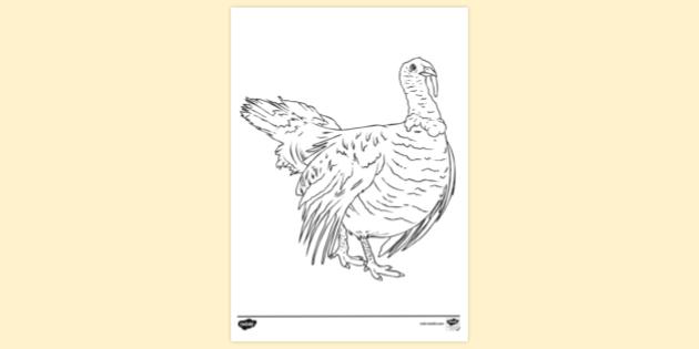 FREE! - Turkey Colouring Sheet | Colouring Sheets