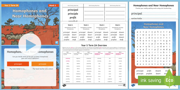 Year 5 Term 2A Week 6 Spelling Pack (teacher made)