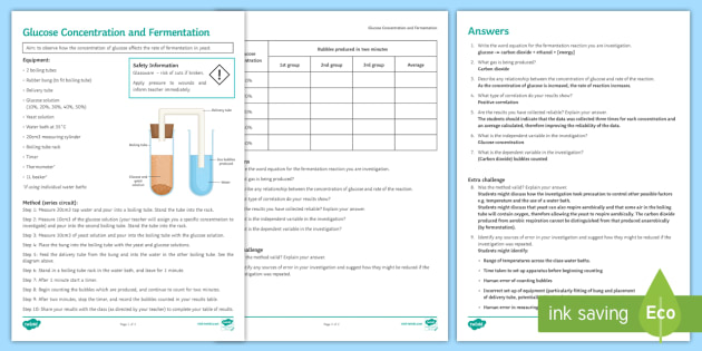 Glucose Concentration and Fermentation Investigation Instruction Sheet