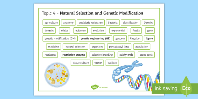 Edexcel Biology Natural Selection and Genetic Modification Word Mat