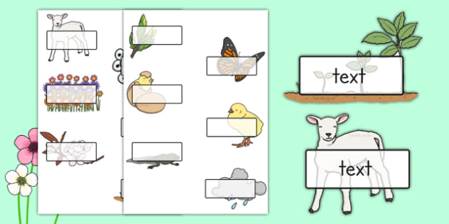 Editable Self-Registration Labels (Spring)