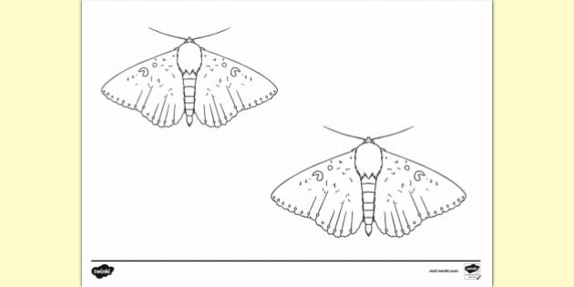 FREE! - Colouring Page Of Moths | Colouring Sheets