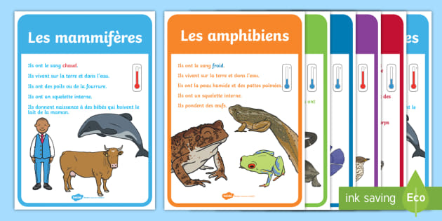 Posters : La classification des animaux (teacher made)