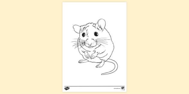FREE! - Mouse Colouring Sheet | Colouring Pages