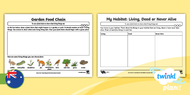 Year 1 Science Living Things and Their Habitats Home Learning Tasks