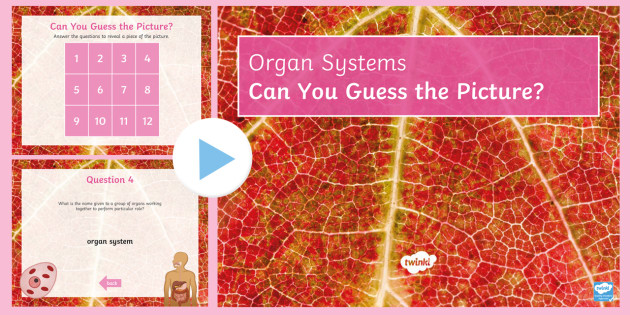 11 Human Body Systems PowerPoint Quiz - Beyond Science