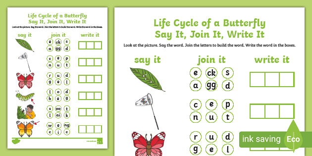 Life Cycle of a Butterfly Say It, Join It, Write It Activity