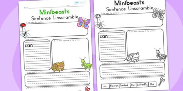 Minibeast Cute Sentence Unscramble (teacher made)