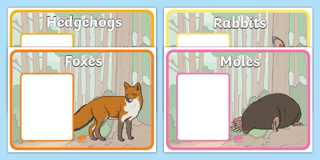 Editable Class Group Names Table Signs (Woodland Animals)
