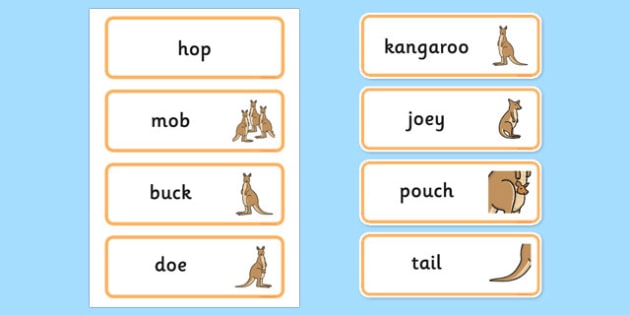 Kangaroo Life Cycle Word Cards (teacher made)