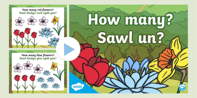 Learn Welsh as an Additional Language with Twinkl Cymru