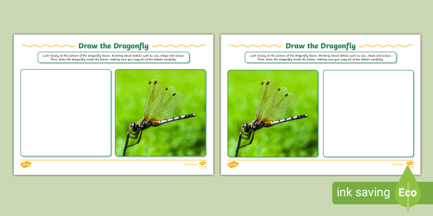 Dragonfly Art • Twinkl.ca