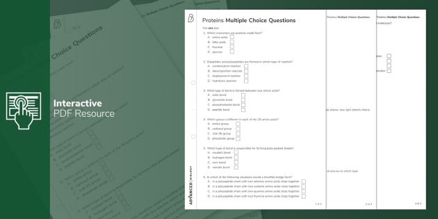 Protein Multiple Choice Questions | A Level Biology | Beyond